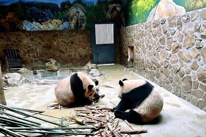 Private Half-Day Tour of Xi'an Panda Animal Protection Park - FAQs