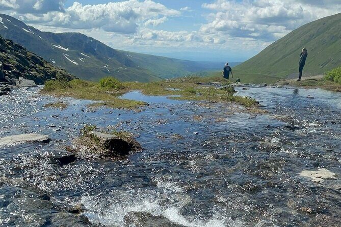 Private Hatcher Pass, Iditarod & Local Wildlife Tour - Who Will Love This Tour?
