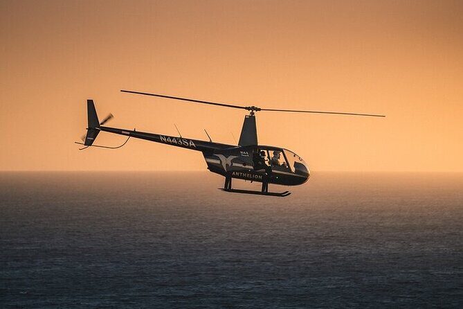 Private Helicopter Tour of Beaches & Downtown Los Angeles from Long Beach - Who Should Consider This Tour?