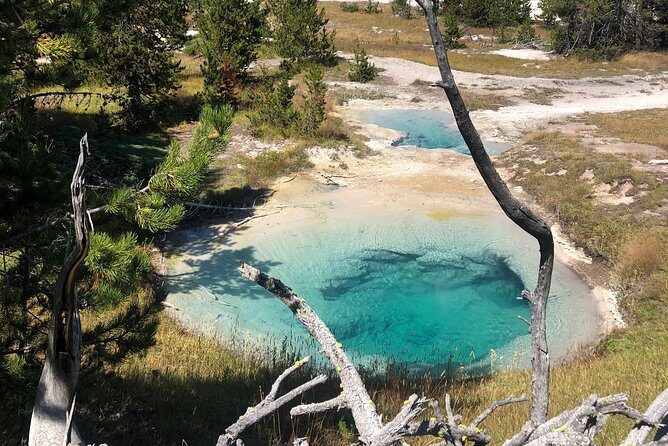 Private Hidden Gems of Yellowstone! Lunch w/ family friendly hikes included! - What Do the Reviews Tell Us?