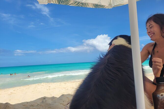 Private Hiking and Beaches Tour in Kailua Town - Practical Details and What You Should Know