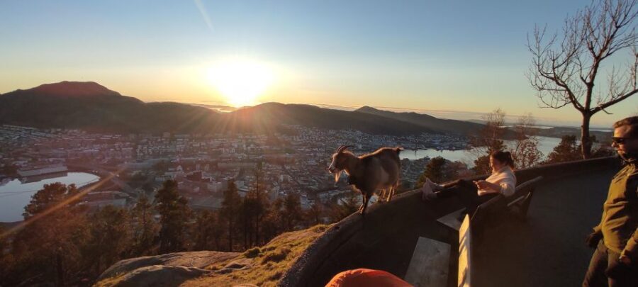 Private hiking tour Bergen mountains like a local - Detailed Breakdown of the Itinerary