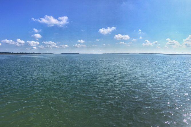 Private Hilton Head Dolphin Tour with Waterfront Dining Stop - Who Should Consider This Tour?