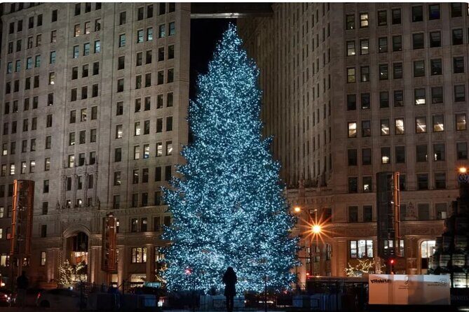 Private Holiday City Tour - Authentic Traveler Insights