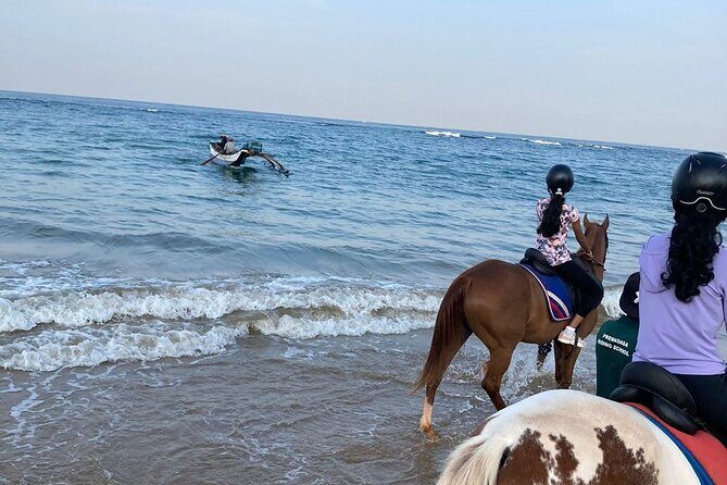 Private Horse Riding in Mount Lavinia - A detailed look at the Mount Lavinia Horse Riding Experience