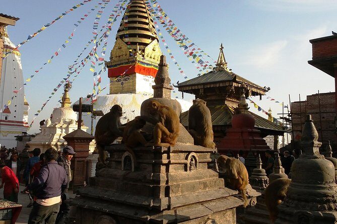 Private Kathmandu Sightseeing Tour 4 UNESCO World Heritage Sites - Patan Durbar Square