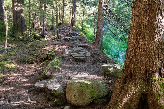 Private Ketchikan Mountain Lake Extended Trek to Alpine Overlook - Pricing and Value