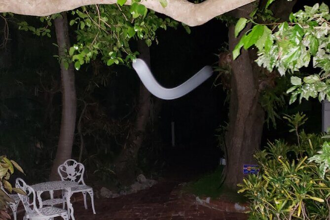 PRIVATE Key West Haunted History Walking Tour - FAQ