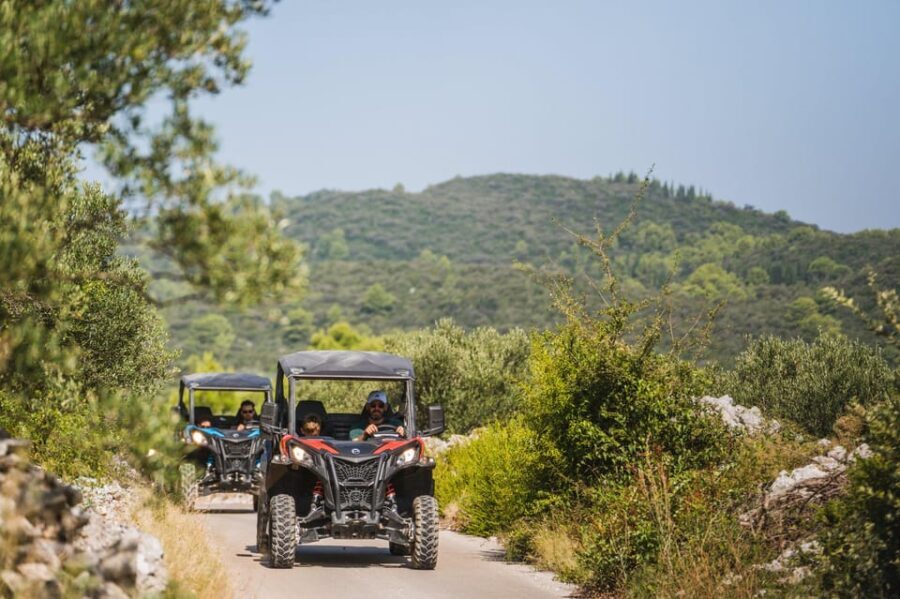 Private Korcula Buggy Safari With Wine Tasting - The Itinerary in Detail
