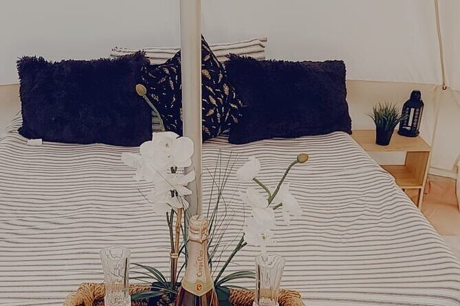 Private Luxury Picnic Experience in Hollywood - The Picnic and Tent Setup
