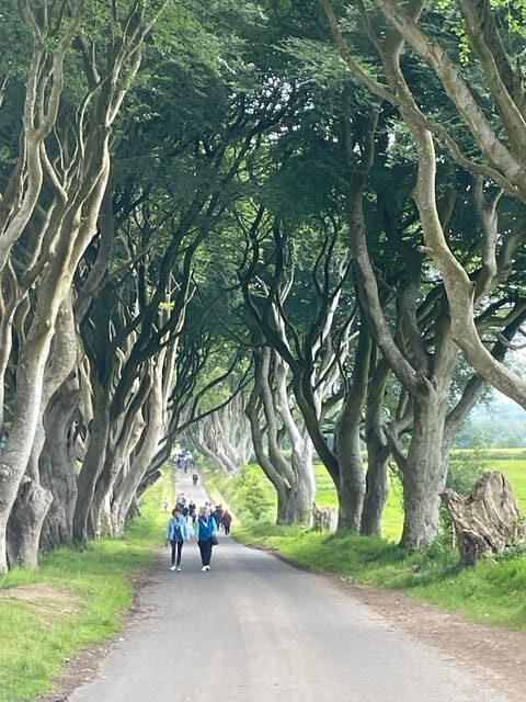 Private luxury tour of Belfast & giants causeway tickets inc - From Belfast to the North Coast: Scenic Stops and Iconic Sights