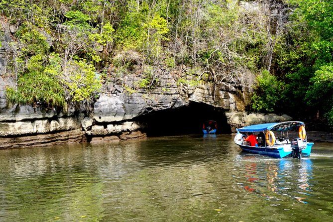 Private Mangrove Tour 2 Hour (max 8 People) - What Makes This Tour Special