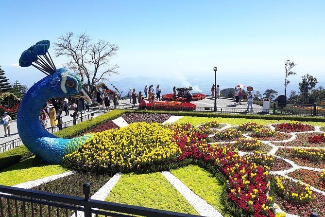 Private Marble Mountains-Hands Bridge-Bana Hills HoiAn/DaNang - Who Should Consider This Tour?