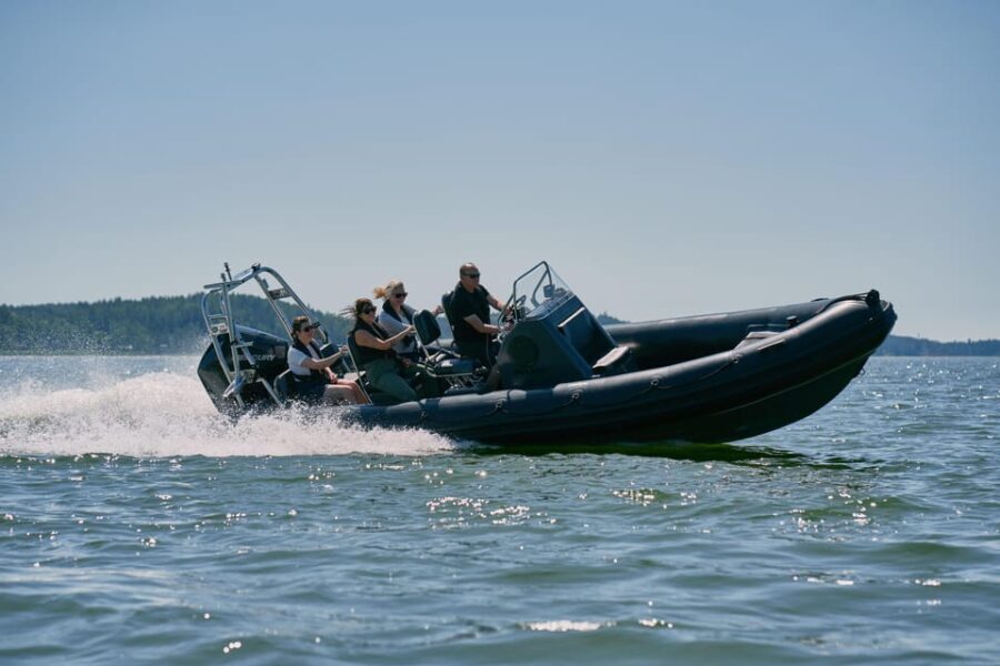 Private morning boat tour to the Airisto - Why It Works: Unique Benefits and Considerations