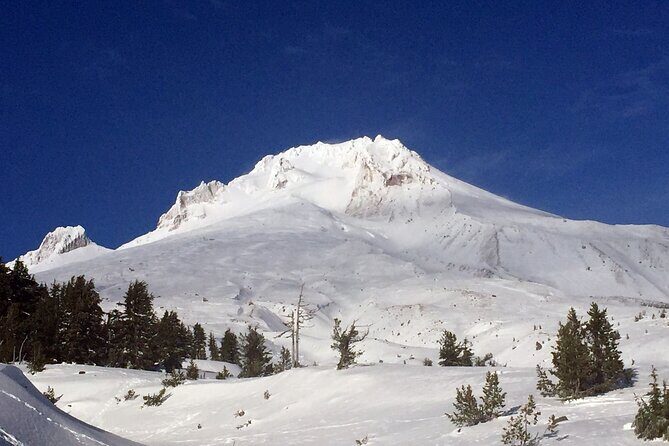 Private Mt Hood Waterfall Tour with Lunch and Wine included - Who Would Love This Tour?