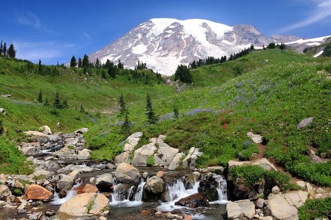 Private Mt Rainier National Park Day Trip from Seattle - Longmire Museum and Historical Insights