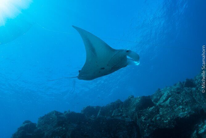 Private Niihau Scenic Snorkel - Breaking Down the Itinerary