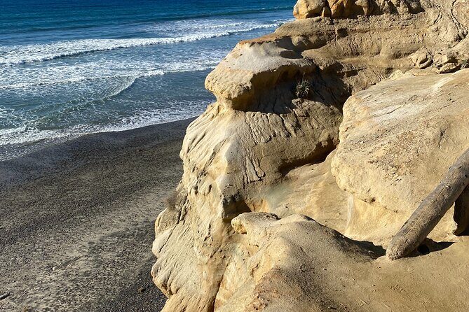 Private North County San Diego Electric Bike and Hike Tour - Who Will Love This Tour?