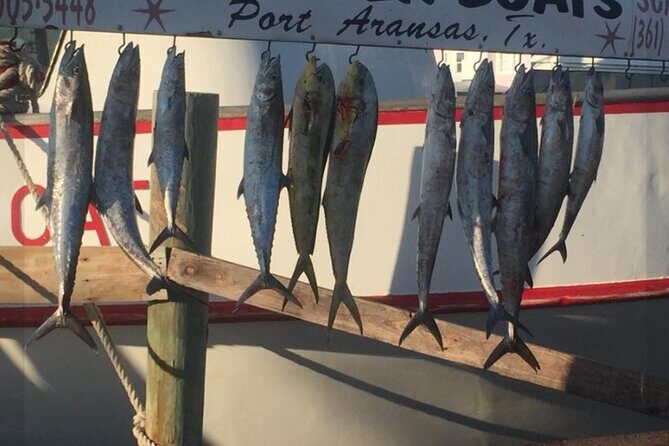 Private Offshore Fishing Charter from Port Aransas - Who Will Love This Trip?