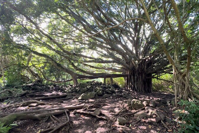 Private Pipiwai Trail Maui Open-Air Jeep Tour - What’s Included and What’s Not