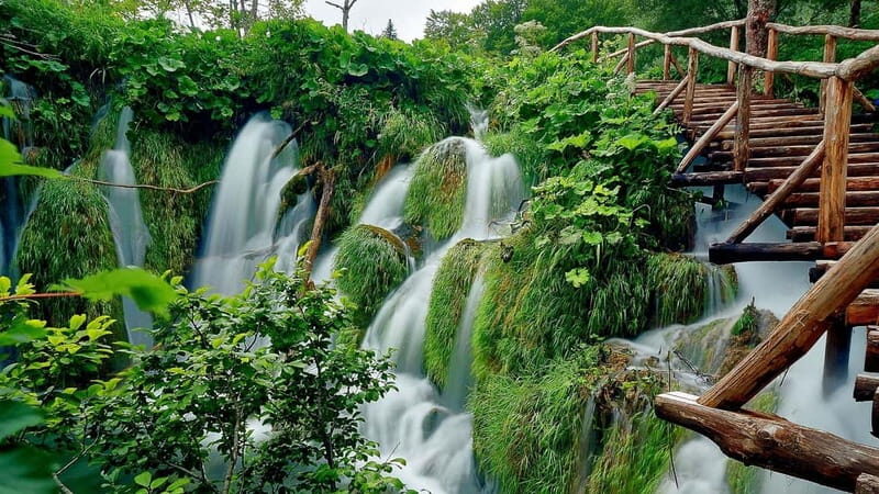 Private Plitvice Lakes and Zadar Tour with Lunch from Split - Why This Tour Stands Out