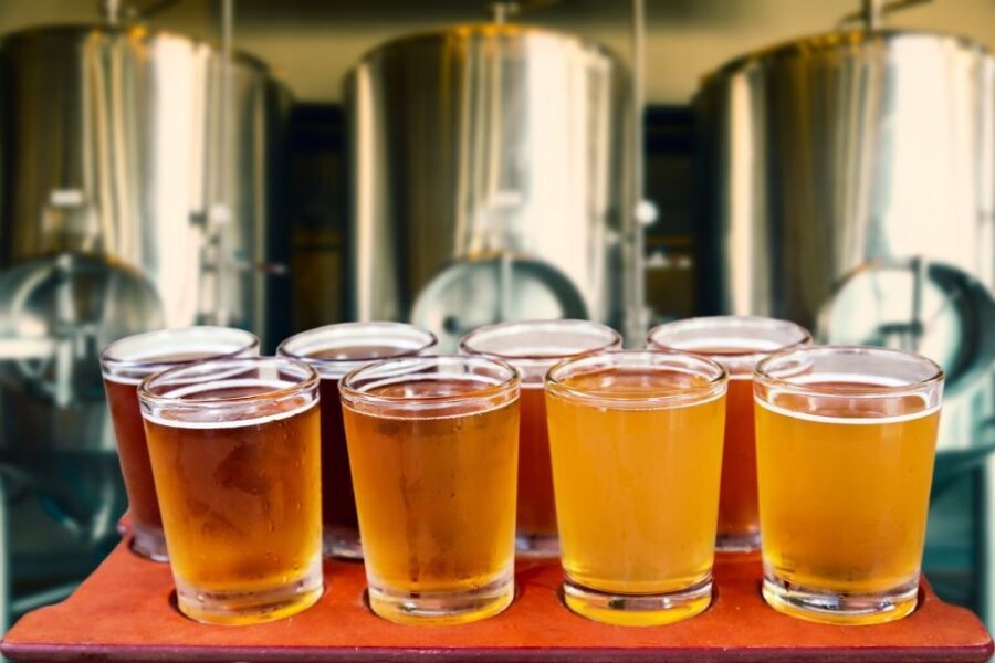Private Polish Beer Tasting Tour in Bialystok Old Town - Who Will Love This Tour?