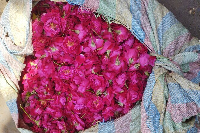 Private Rickshaw Tour of Old Delhi Heritage with Food Tasting - Who Will Love This Tour?