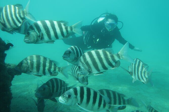 Private Scuba Diving Expert-Led Excursion Training with Tour - The Value of This Experience