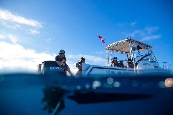 Private Shark Dive, Oahu, Hawaii (6 Guest) - A Deep Dive Into the Experience