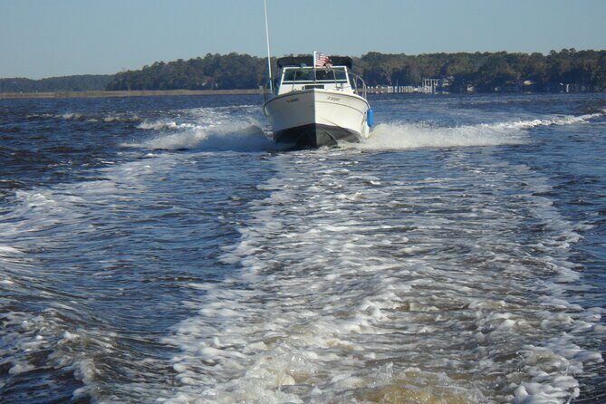 Private Sightseeing Boat Tour in Savannah - Who Will Love This Tour?