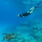 Private Snorkel with Beach Set-Up - What’s Included and What to Expect