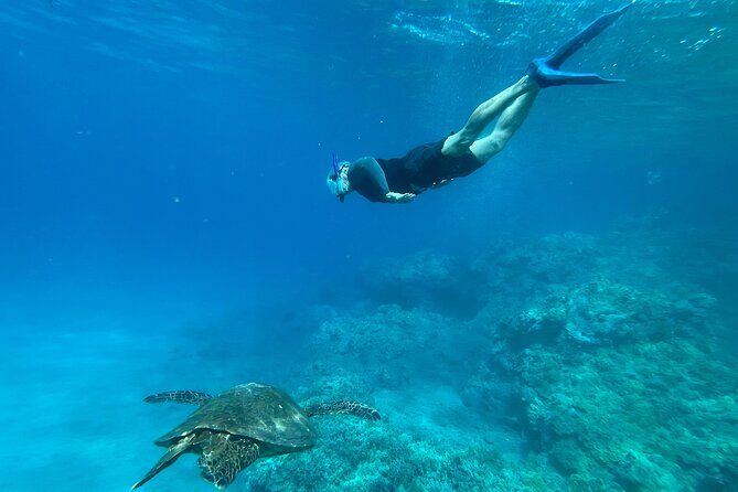 Private Snorkel with Beach Set-Up - What’s Included and What to Expect