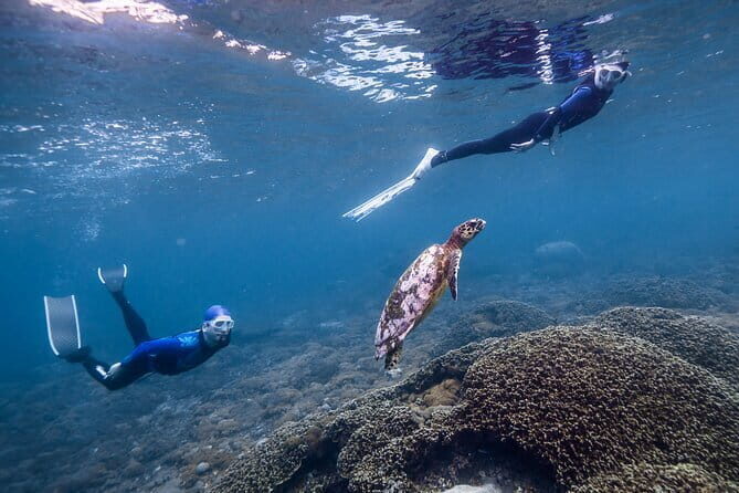 Private Snorkeling and Freediving Trip to Manta Point - Evaluating the Value for Your Money