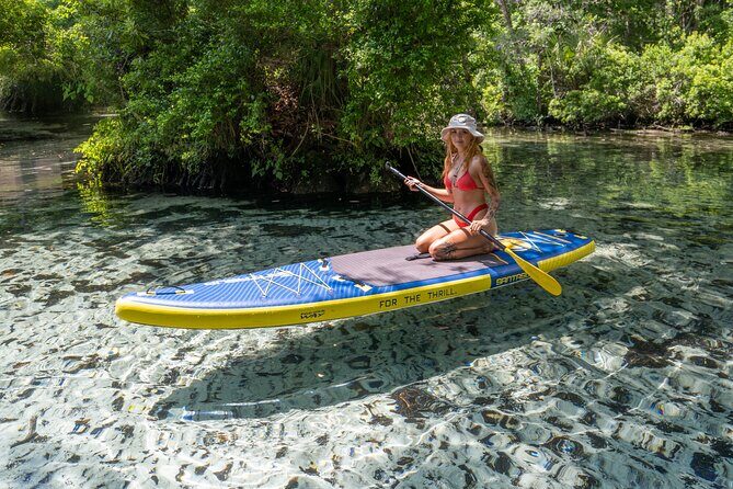 Private Snorkeling Expedition in the Florida Springs - The Itinerary Breakdown