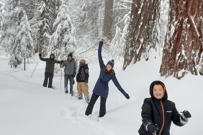Private Snowshoe Adventure - Sequoia National Park - The Hike and Its Highlights