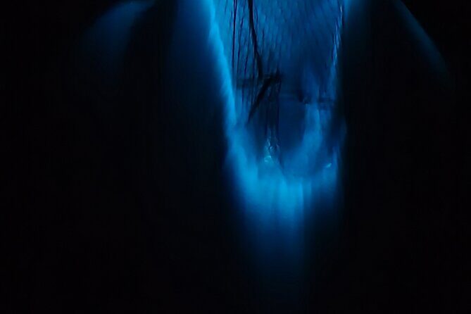 Private Sunset and Bioluminescence Tours in Cocoa Beach - How the Tour Compares to Similar Experiences