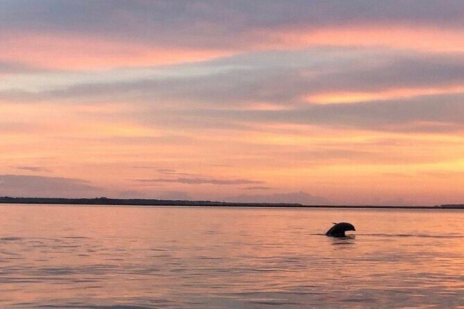 Private Sunset and Fireworks Dolphin Tour (6 people max) - FAQs