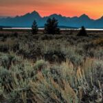 Private Sunset Wildlife Dinner Safari From Jackson WY - Who Should Consider This Tour?