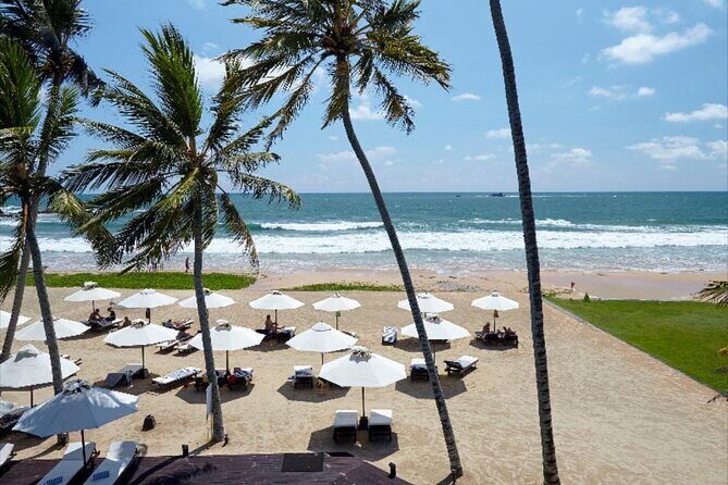 Private Taxi from Sri Lanka Airport (CMB-BIA) to EKHO Surf Hotel Bentota - Why This Transfer Is a Solid Choice