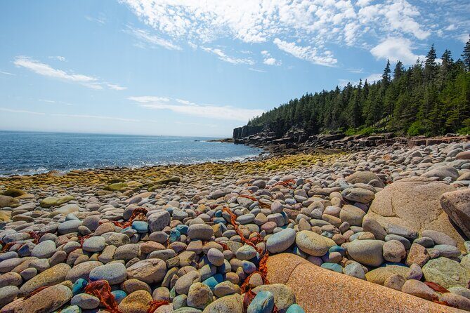Private Tour Acadia National Park, Fjord - Cost and Value