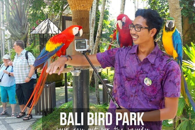 Private Tour Bali Bird Park And Ubud Tour - Who Will Love This Tour?