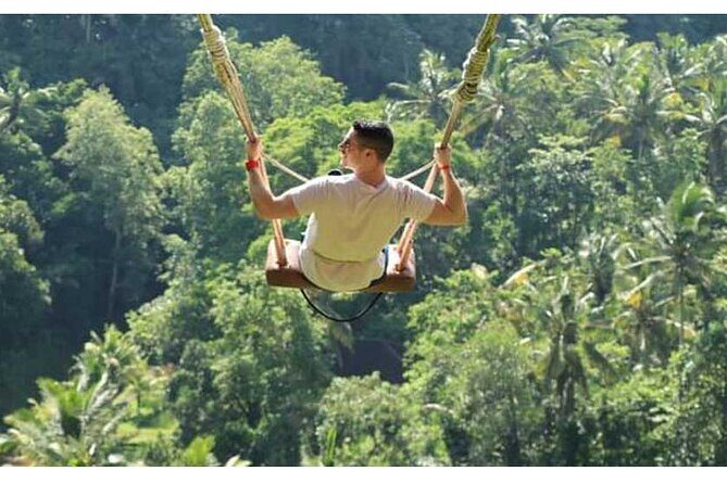 Private Tour Bali Swing & Visiting Temples in Bali - Practical Details and What They Mean for You