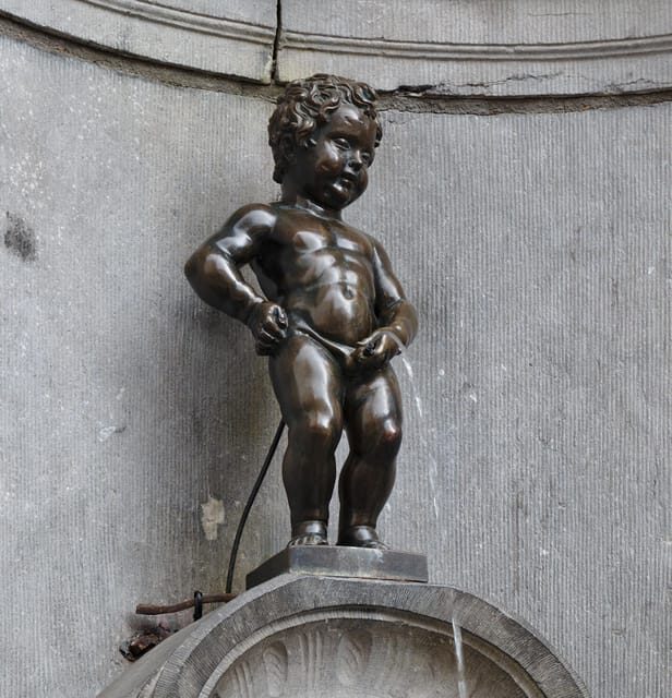 Private tour : Best of Brussels half day From Brussels - Why Choose a Private Guided Tour of Brussels?