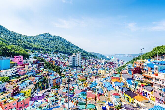 Private Tour Best of Busan Full Day - Final Thoughts