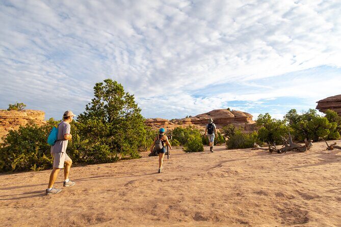Private Tour: Best of the West 11-Day National Parks Tour with Lodging - Why This Tour Is a Win for Travelers