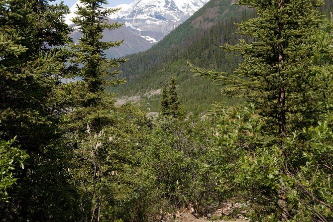 Private Tour: Chugach State Park Hiking Tour from Anchorage - Who Will Love This Tour?