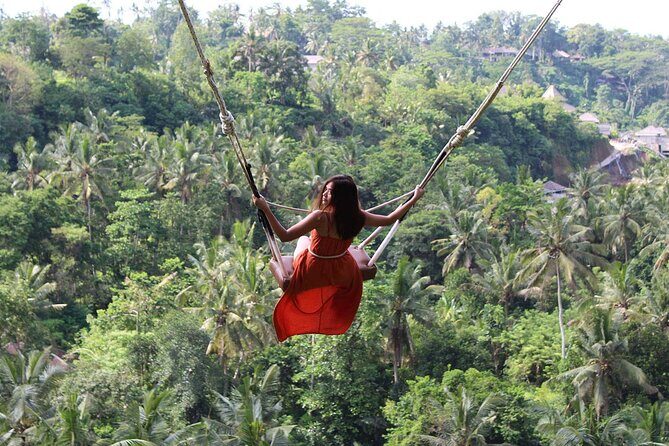 Private Tour : East Bali Highlights with Giant Swing - Price and Value Analysis