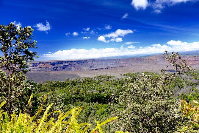 Private Tour: Experience Active Kilauea Volcano & Hilo Rainbow Falls - What Does the Tour Include?