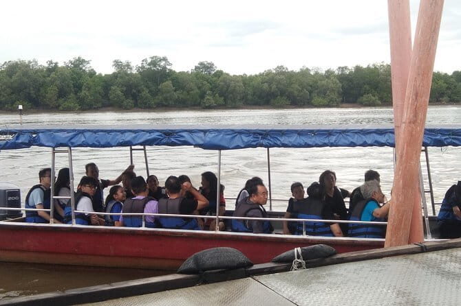 Private Tour Fireflies, Eagles and Monkey - Eagle Feeding at Pasir Penambang: Watching Nature’s Aerobats