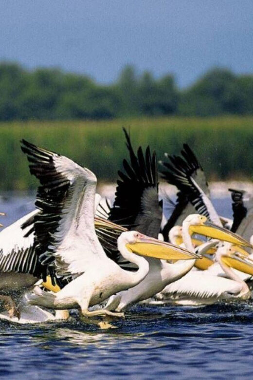Private Tour from Bucharest to Danube Delta 2 Days Tour - What’s Included & What’s Not